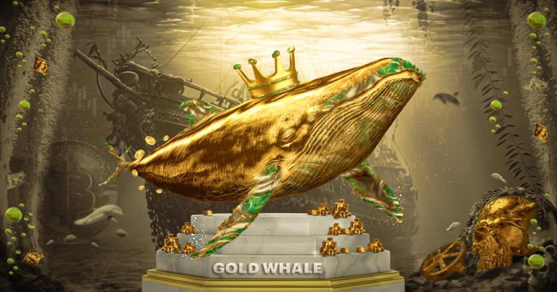Enter Forexchief's GOLD WHALE Contest & Win $5,000!